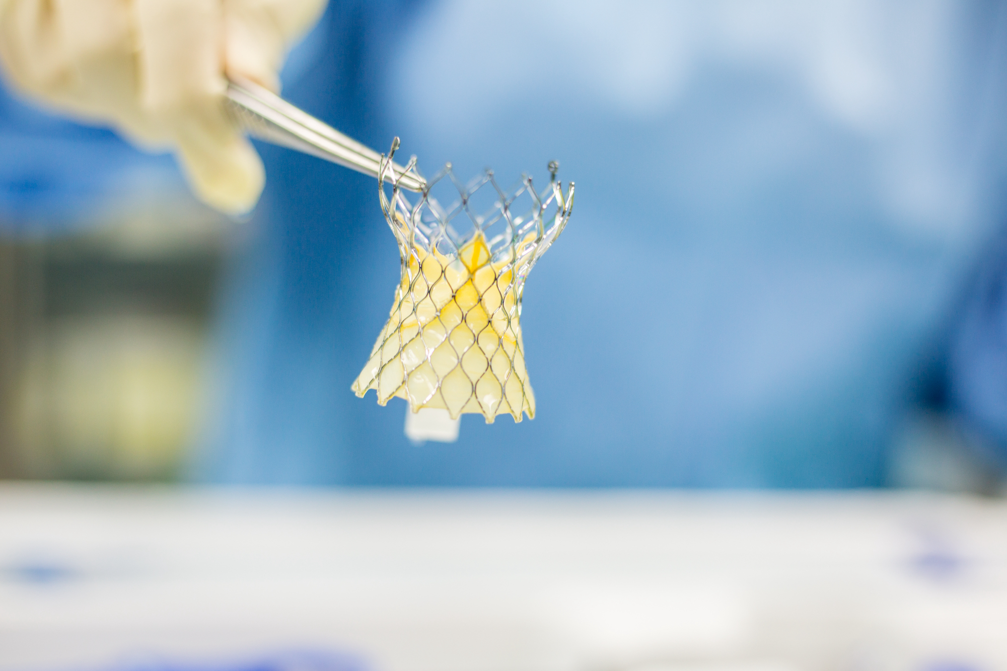 EU assessment of high-risk medical devices faces in-depth review | CORE-MD